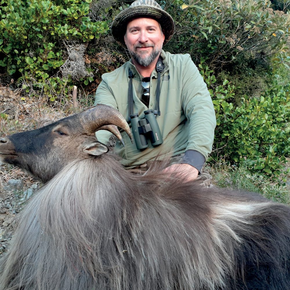Himalayan Bull Tahr | Rivers South Safaris New Zealand