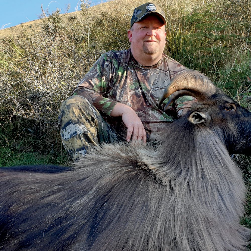 Himalayan Bull Tahr | Rivers South Safaris New Zealand