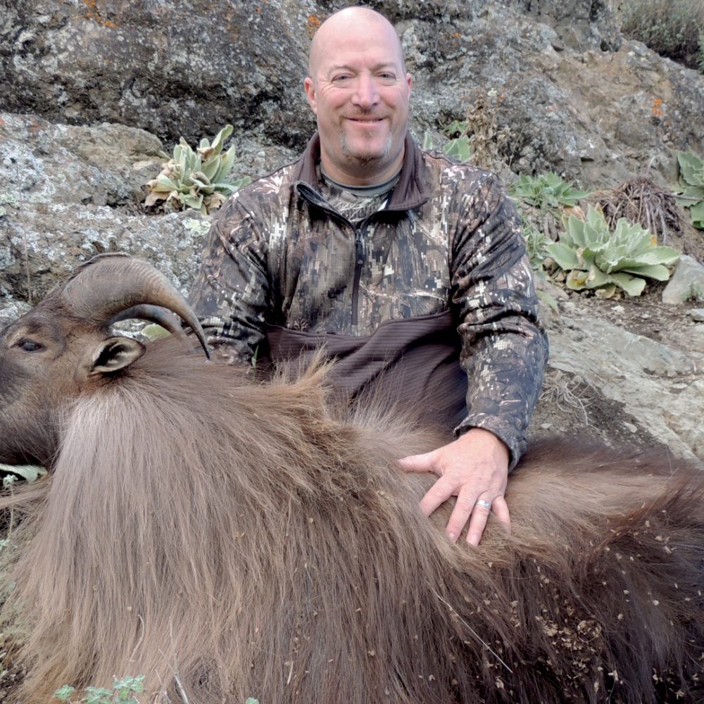 Himalayan Bull Tahr | Rivers South Safaris New Zealand
