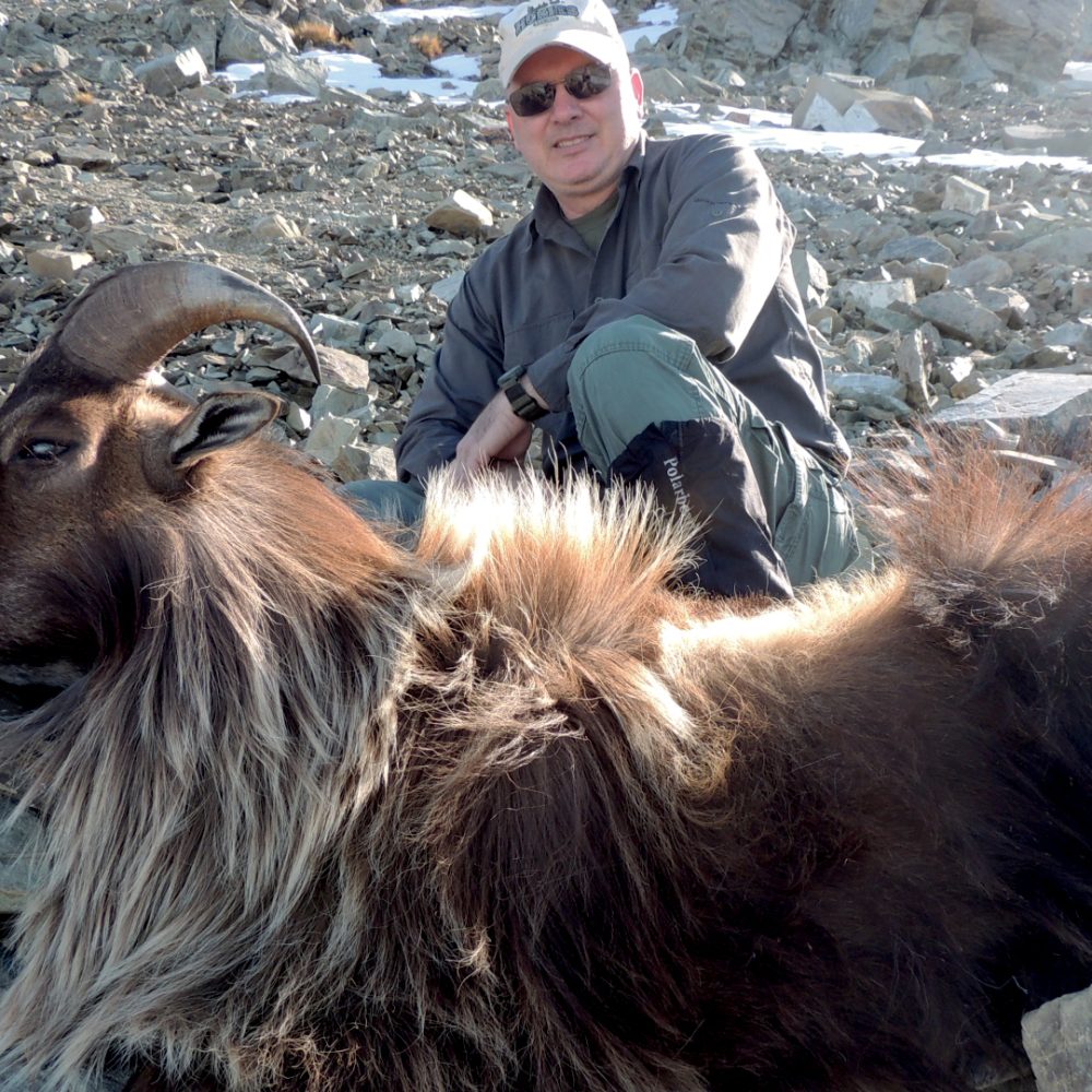 Himalayan Bull Tahr | Rivers South Safaris New Zealand